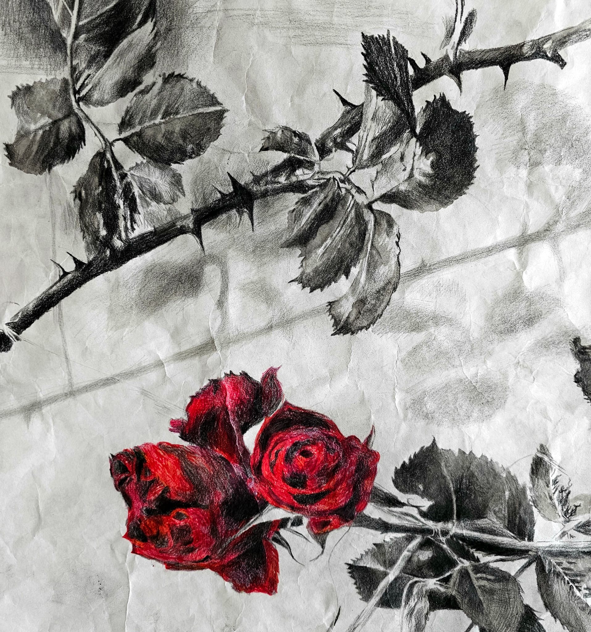 Marta Blasco, Fragmentos | DP Magazine